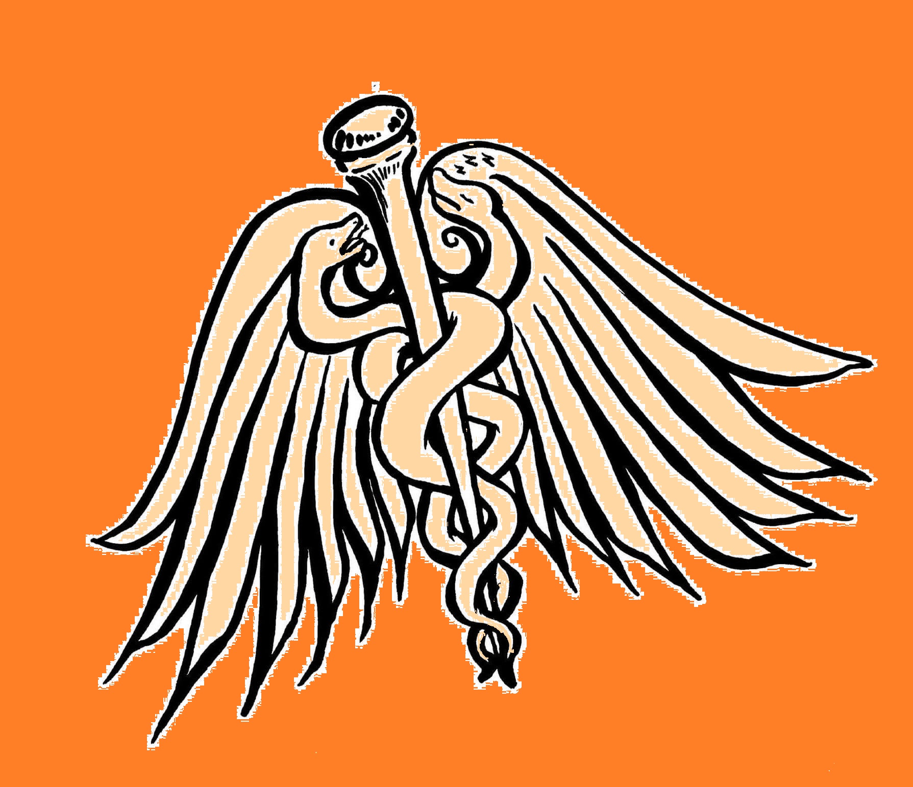 Breaking the Cycle: Confronting Healthcare Disparities for Indigenous ...